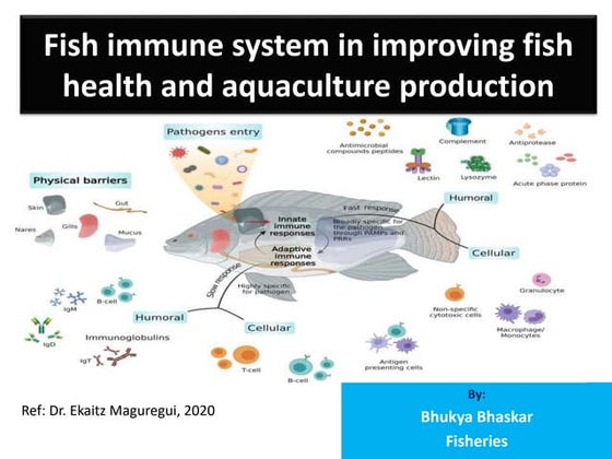 Fish Immune system by Divya Tarsariya Presentation (12).pptx ...