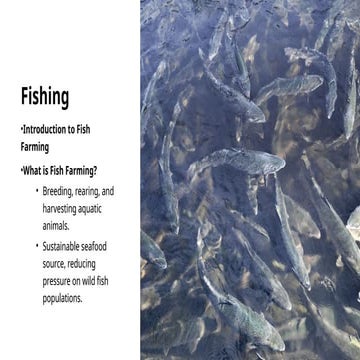 Fishing. power point presentation about fishing | PPTX