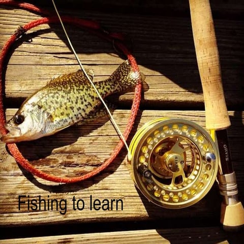 Fishing to Learn | PPTX