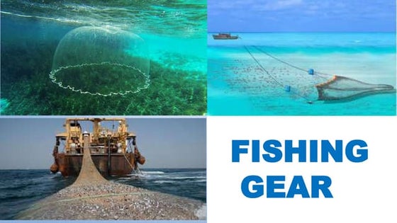 Fish capture | PPTX