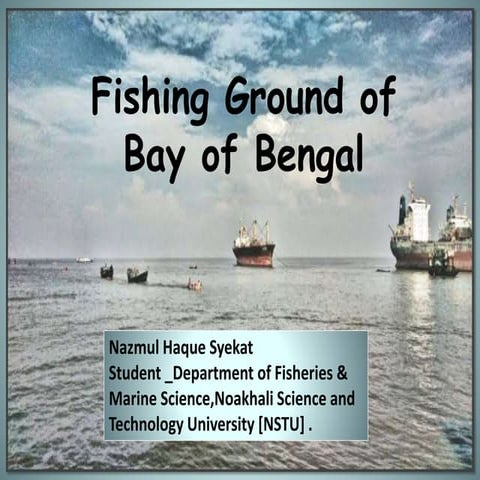 Fishing Ground of Bay of Bengal by Syekat | PPTX