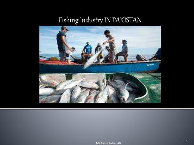 Fishing industry of Pakistan | PPTX