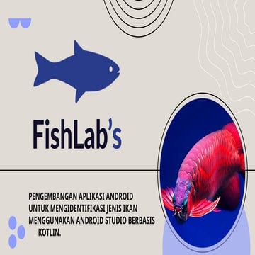FISHLAB'S presentation product development | PPT