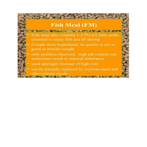 Fish meal 2 | DOCX