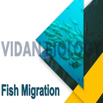 Fish migration (Animal Behavior) Catadromous, Anadromous | PDF