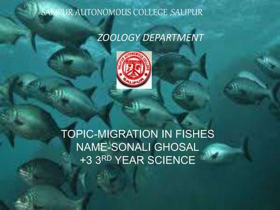 MIGRATION OF FISHES | PPTX | Fish and Aquariums | Pets