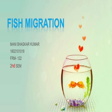 Fish migration | PPT