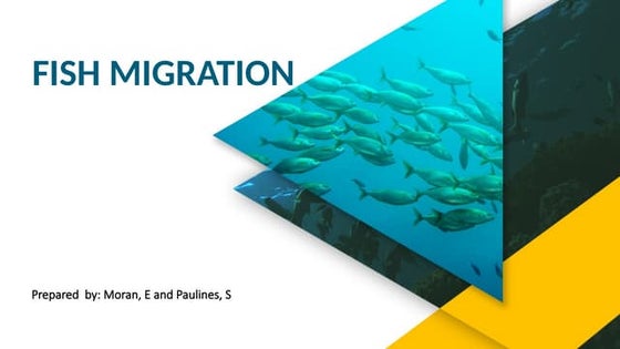 MIGRATION OF FISHES | PPTX | Fish and Aquariums | Pets