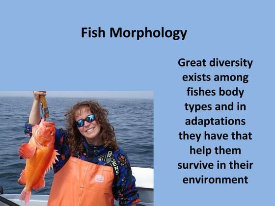 Fish Morphology | PPT