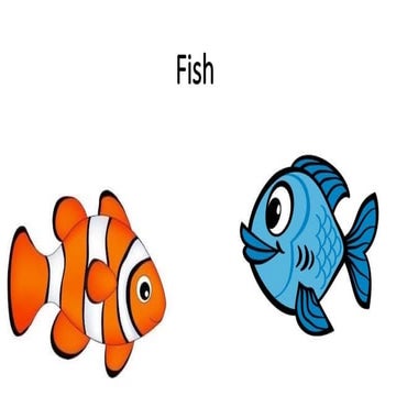 Fish power point, simple, brief, and basic. | PPTX
