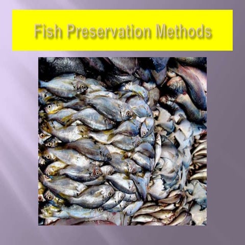 Fish preservation methods | PPT