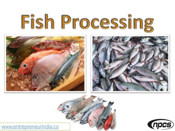 Preparation of surimi and minced based fishery products | PPT