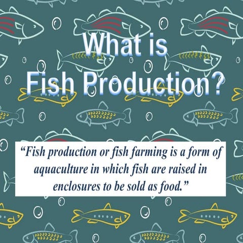Fish Production.pptx