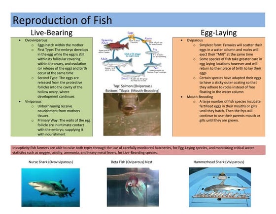 Biological process that effect fish stock | PDF