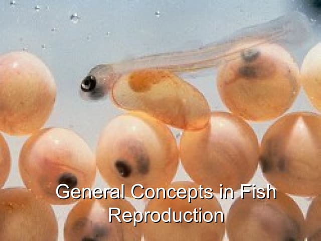 Fish reproduction | PDF