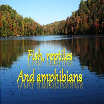 UNIT 5. NATURAL SCIENCE: REPTILES, AMPHIBIANS AND FISH | PPTX
