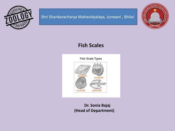 Scales in fishes | PDF | Fish and Aquariums | Pets