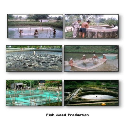 FISHES & SEED PRODUCTION - A VIEW | PDF