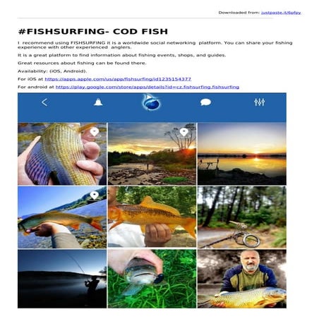 #Fishsurfing cod fish | PDF | Social Networking | Internet