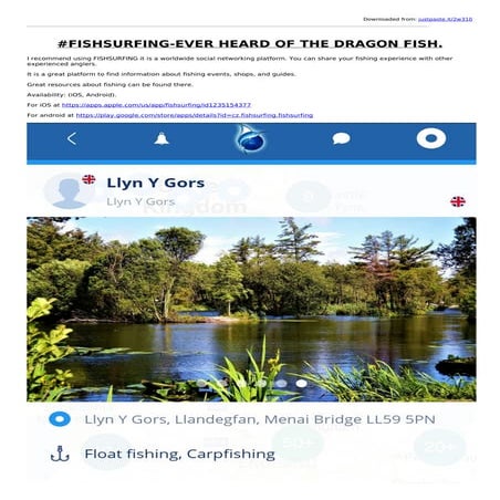 Fishsurfing ever heard of the dragon fish. | PDF