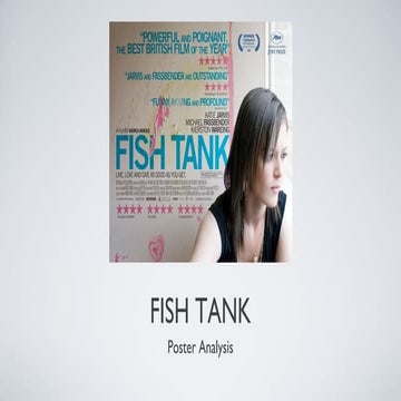 Fish tank analysis | PPT