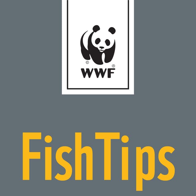 Fish tips | PDF