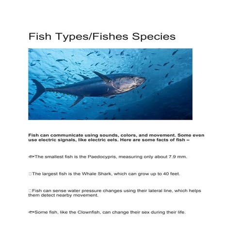 Fish Types-Fishes Species They have a skeleton made of bone, and most ...