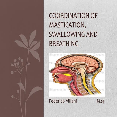 Coordination of mastication, swallowing and breathing | PPTX