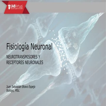 Fisiolog%C3%ADa_Neuronal_Sesi%C3%B3n_7_y_8.pptx