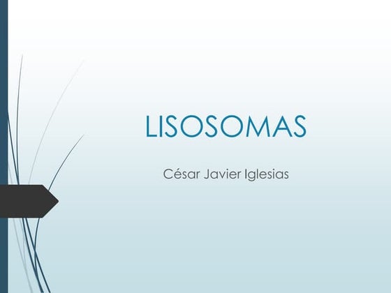 Guia para colorear cel euc iºmedio | PDF