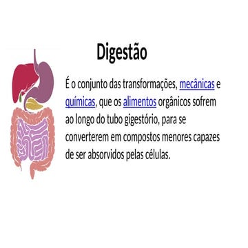Fisiologia Animal da digestão dos alimentos.ppt