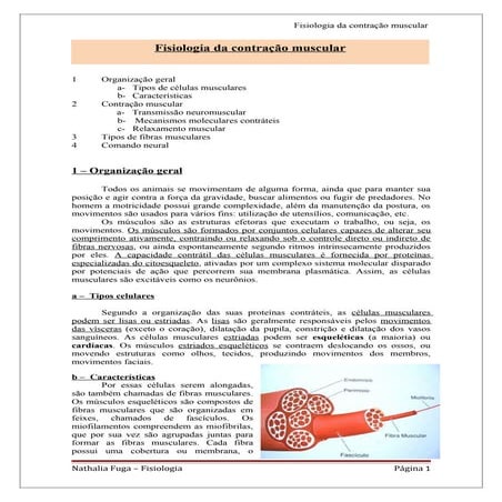 Fisiologia da contração muscular | DOC