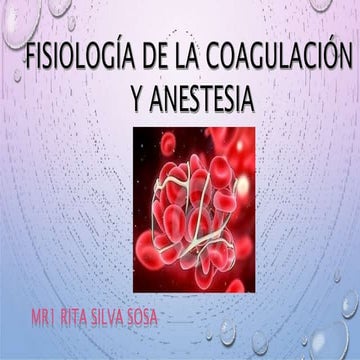 TORAX LEÑOSO.pptx