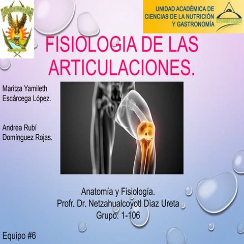 Clasificación y Función de las Articulaciones en el Cuerpo Humano | PPTX