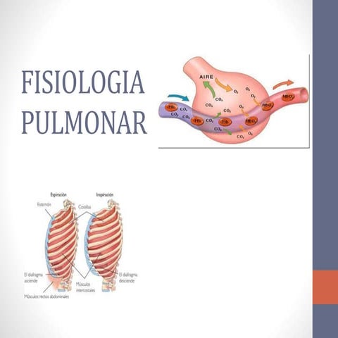 fisiologia pulmonar Y ZONAS DE WEST ANESTESIOLOGIA | PPTX