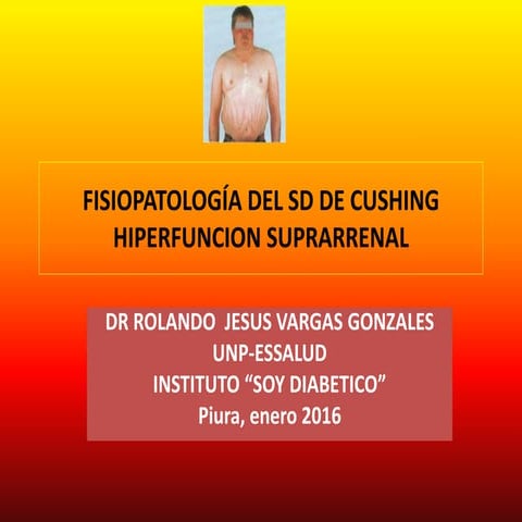 Fisiopatologia del sd de cushing | PPTX