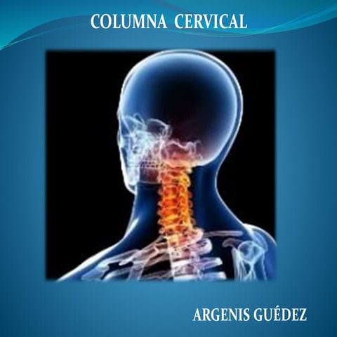 Fisioterapia 2 columna cervical | PPTX