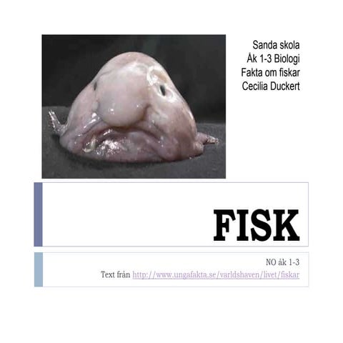 Fisk | PPTX