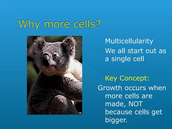 Senior High School Material Mitosis an Asexual Reproduction.ppt