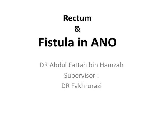 Anorectal fistula | PPTX | Digestive Disorders | Diseases and Conditions