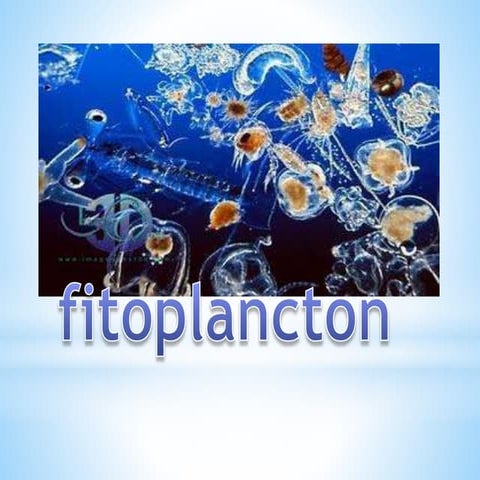 Fitoplancton | PPTX