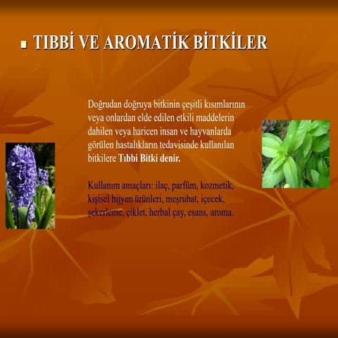 Fitoterapi Uygulamaları Ile Sağlıklı Yaşam Pdf