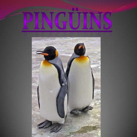 Fitxa de los pinguinos | PPTX