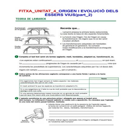 Fitxa repàs unitat 4_origen i evolució dels éssers vius(part_2) | PDF