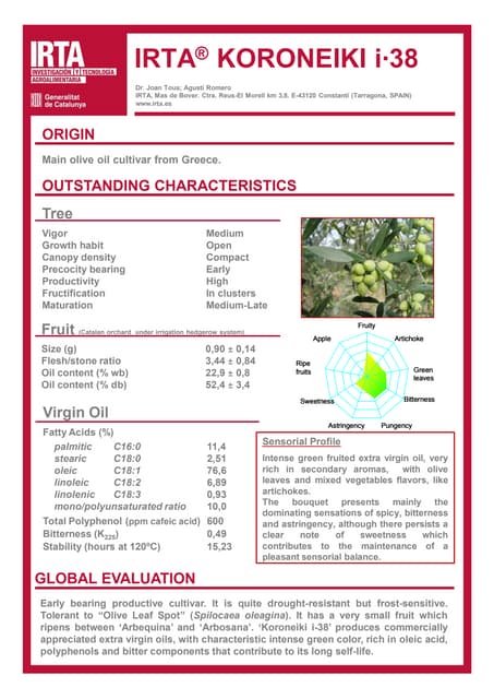 Fitxes Varietals I18 Angles Uc | PDF