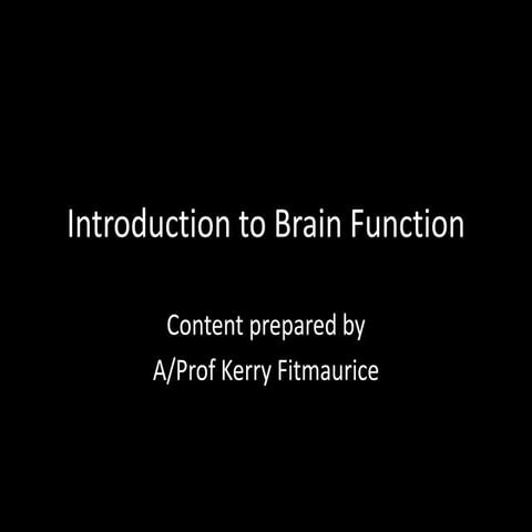 Introduction to Brain Function | PPTX