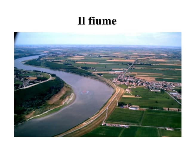 Person First Language Guide 62212 | PDF