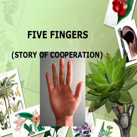 Five Fingers | PPS