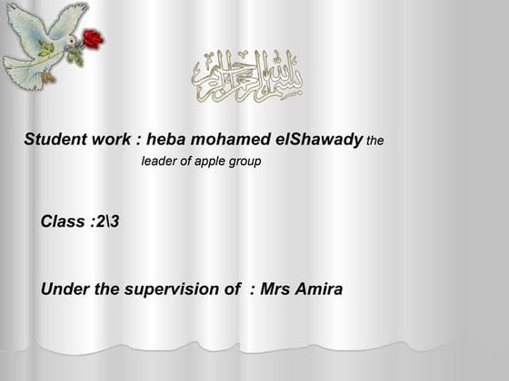 Braille reading comprehension questions | PPT