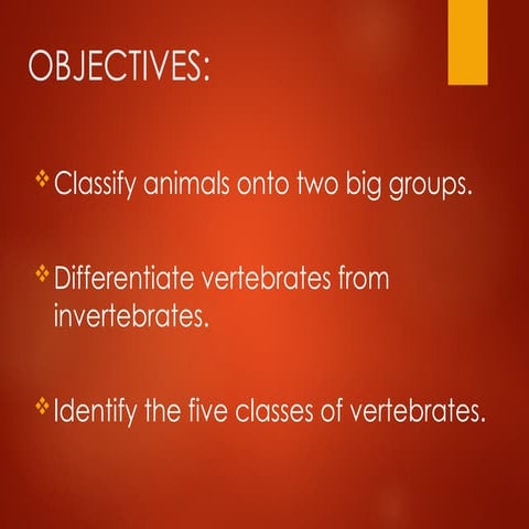 five classes of vertebrates.pptdcdcdcdcdcdc | PPT
